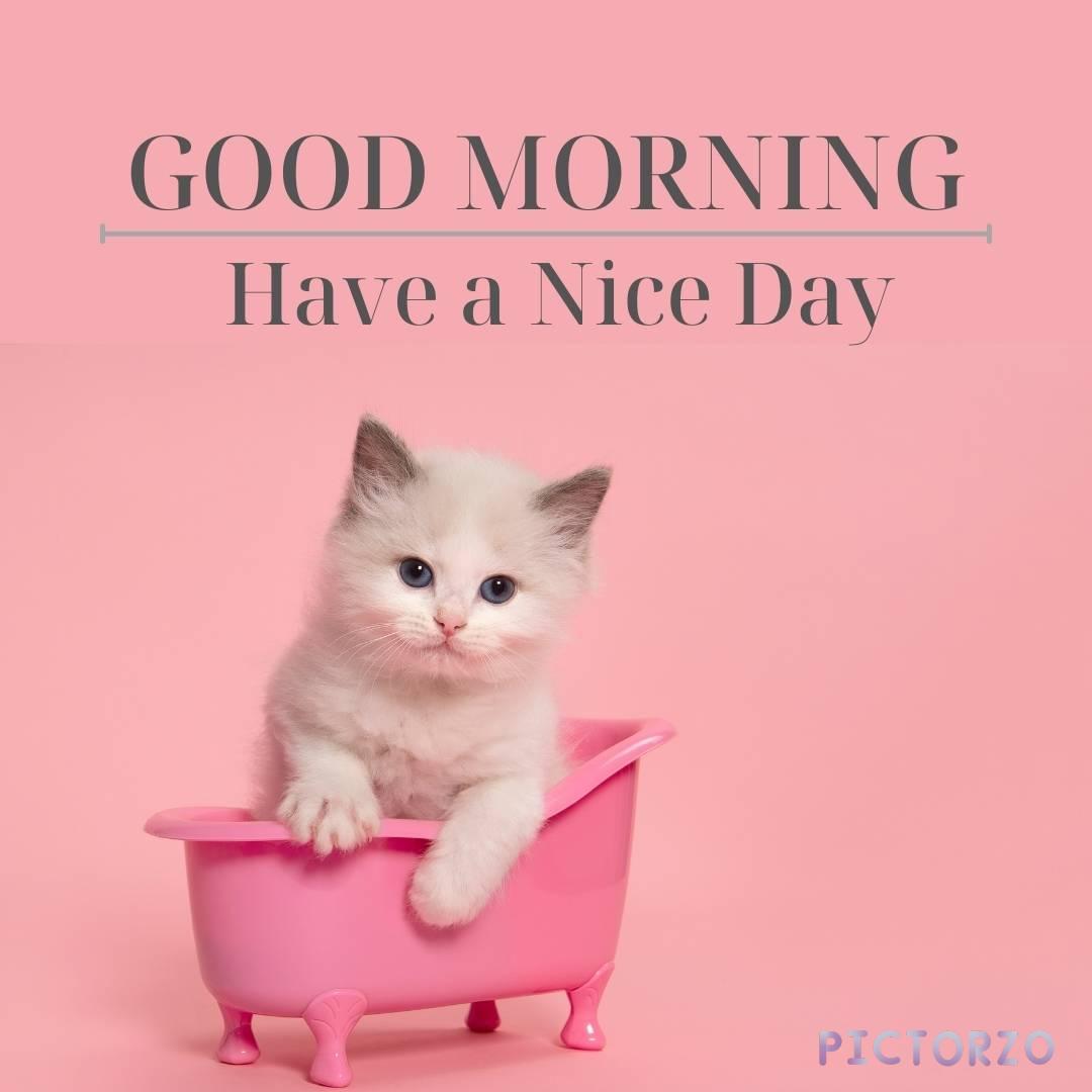 45+ good morning cute images with Free download in 2024