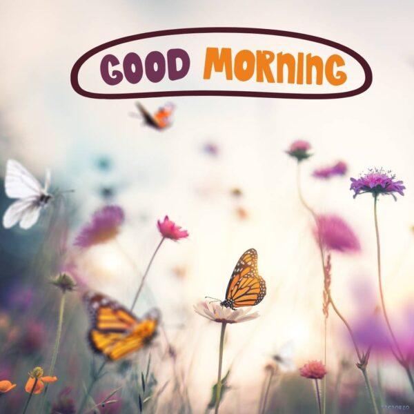 45+ good morning cute images with Free download in 2024