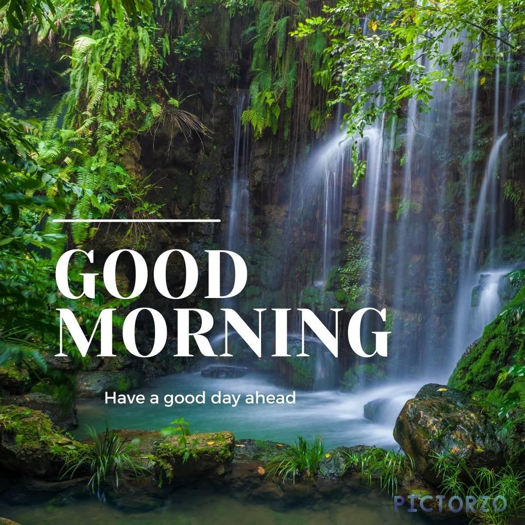 35+ Free Download Good Morning Nature Images HD I Pictorzo