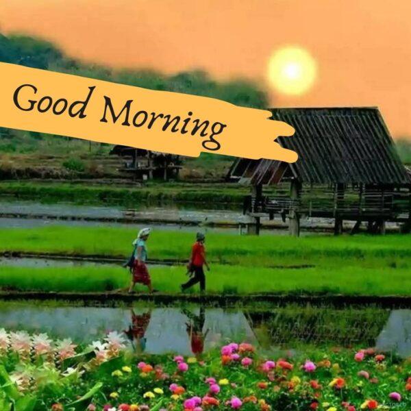 35+ Free Download Good Morning Nature Images HD I Pictorzo