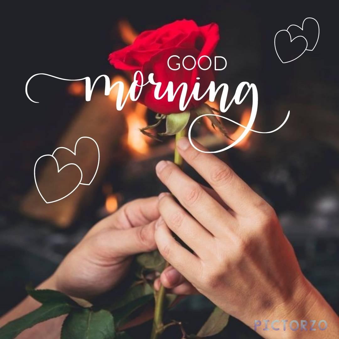45+ Free Download Good Morning love images in 2024