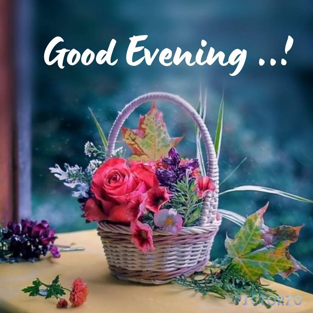 76+ Good Evening Flowers Images are the latest images