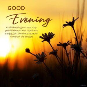 76+ Good Evening Flowers Images are the latest images