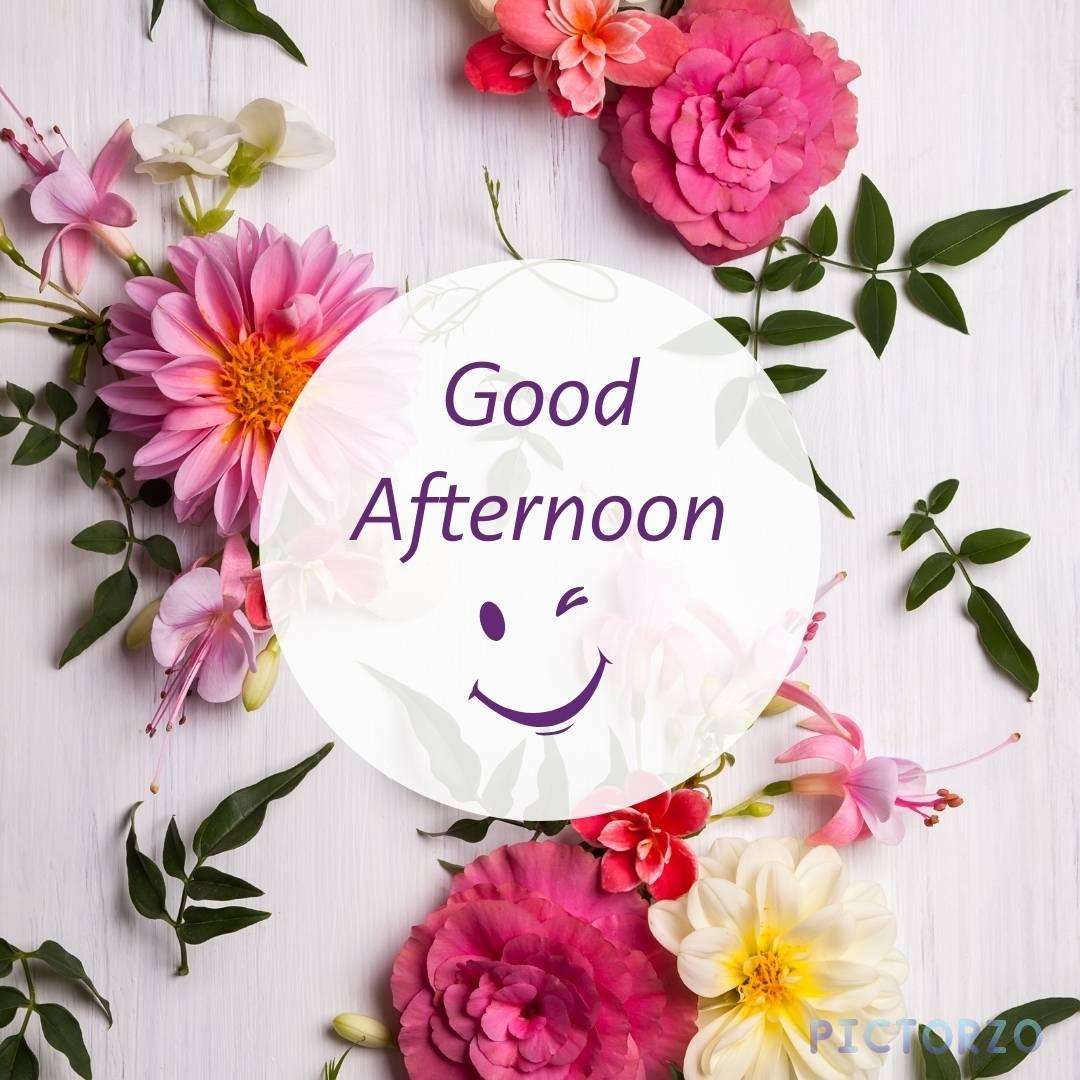 Good Afternoon Flower Images for Beautiful Floral Greetings