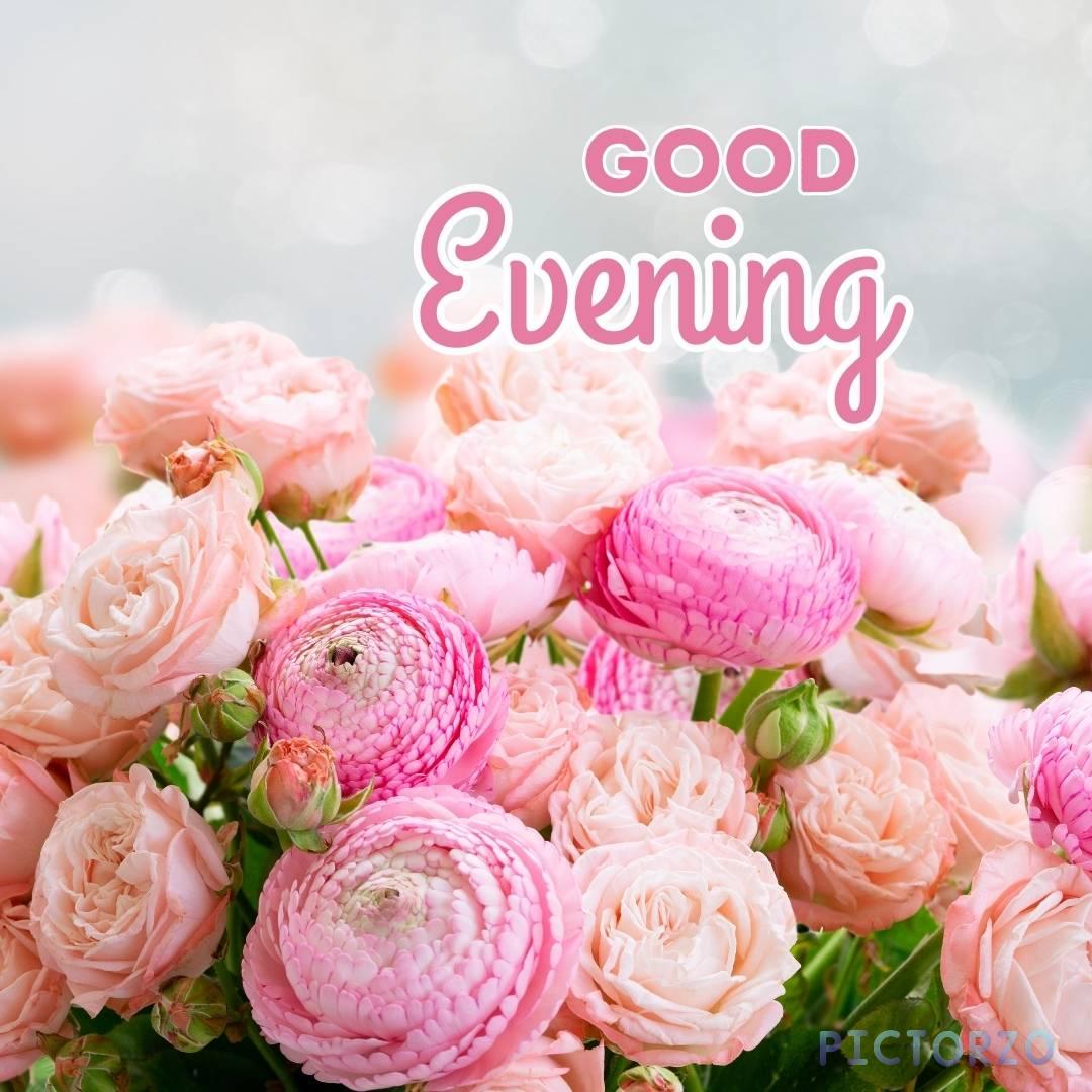 76+ Good Evening Flowers Images are the latest images