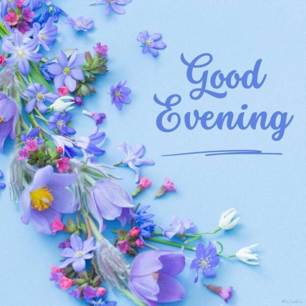 76+ Good Evening Flowers Images are the latest images