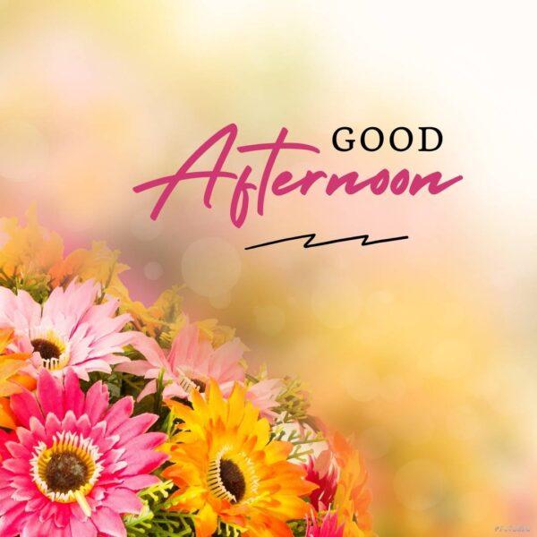 Good Afternoon Flower Images for Beautiful Floral Greetings