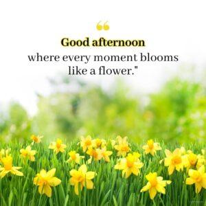 Good Afternoon Flower Images for Beautiful Floral Greetings