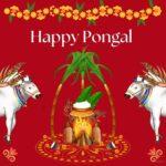 20 Happy Pongal Images & Wishes to Share on Facebook & WhatsApp
